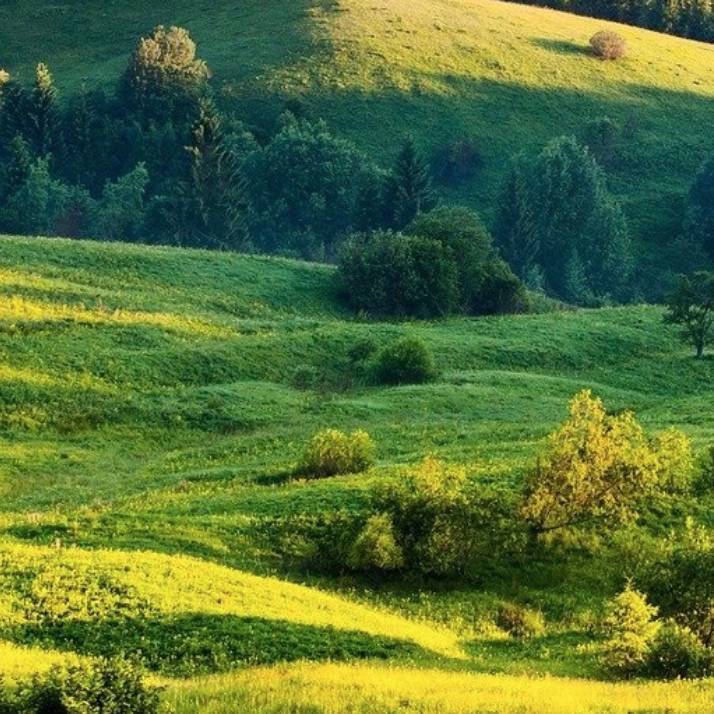 Иконка канала ТАКОЙ МИР