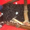 Иконка канала Песни, музыка, разное_account_23544559