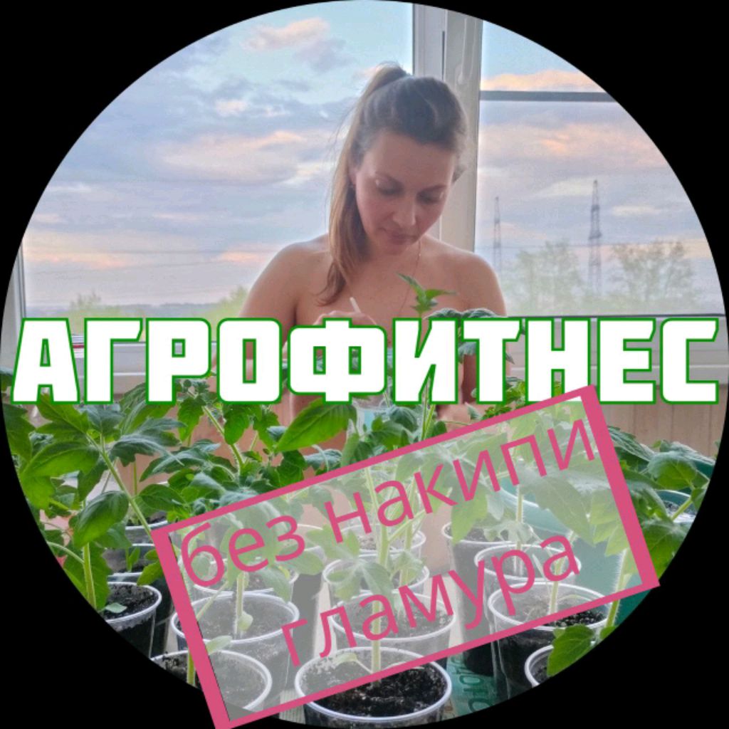 Иконка канала Агрофитнес без накипи гламура