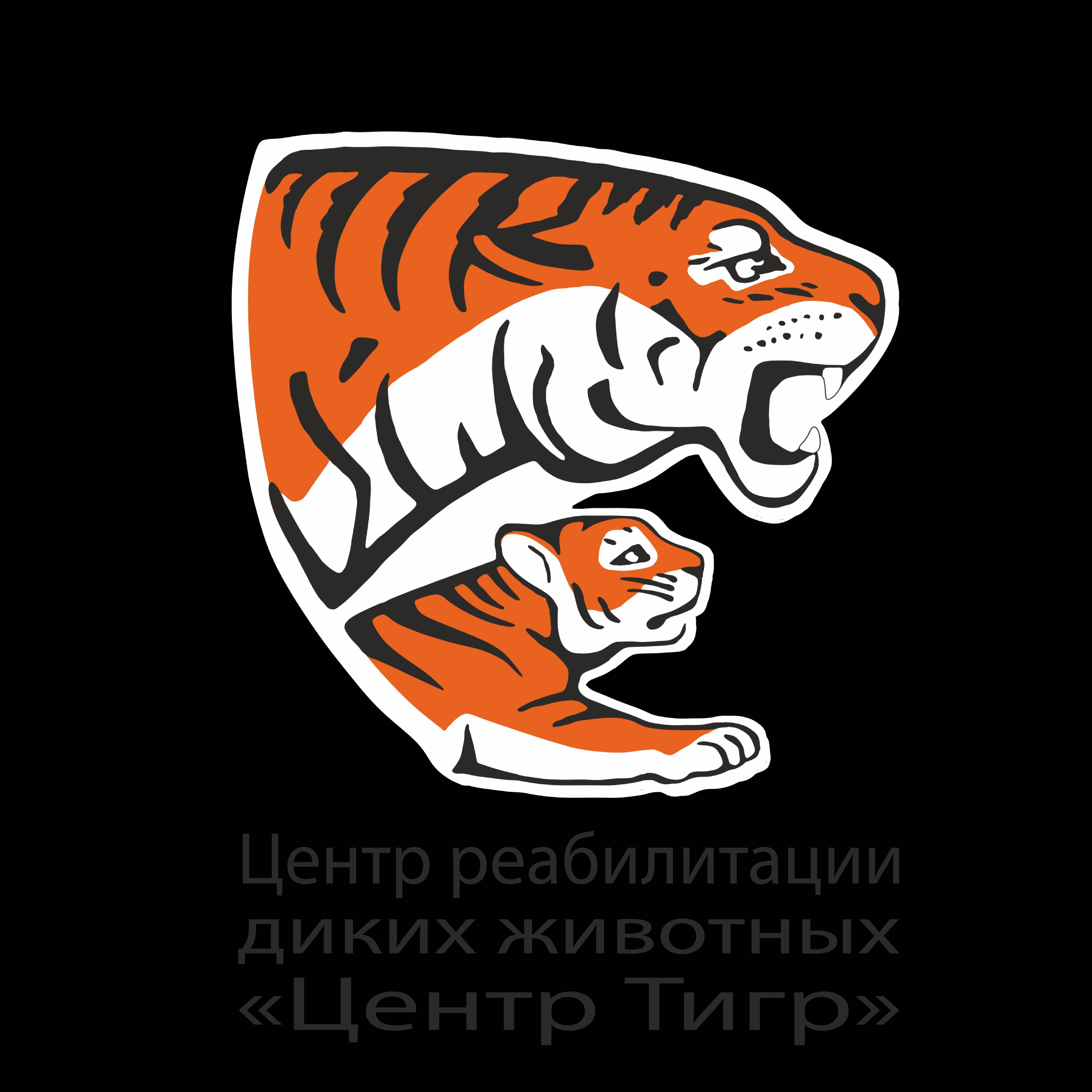 Иконка канала МРОО Центр "Тигр" https://www.siberian-tiger.ru/