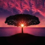 Иконка канала PhrasePower