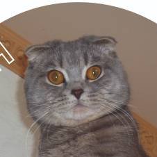 Иконка канала БАРСЯТКИН