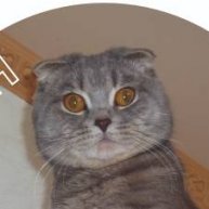 Иконка канала БАРСЯТКИН