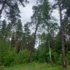 Иконка канала Наблюдения за животными Калужской обл.