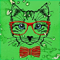 Иконка канала TOP ПРИКОЛЫ