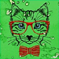 Иконка канала TOP ПРИКОЛЫ