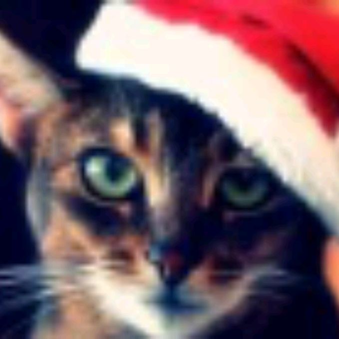 Иконка канала beginner_777