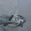 Иконка канала watersky