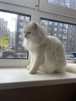 Иконка канала channel2112