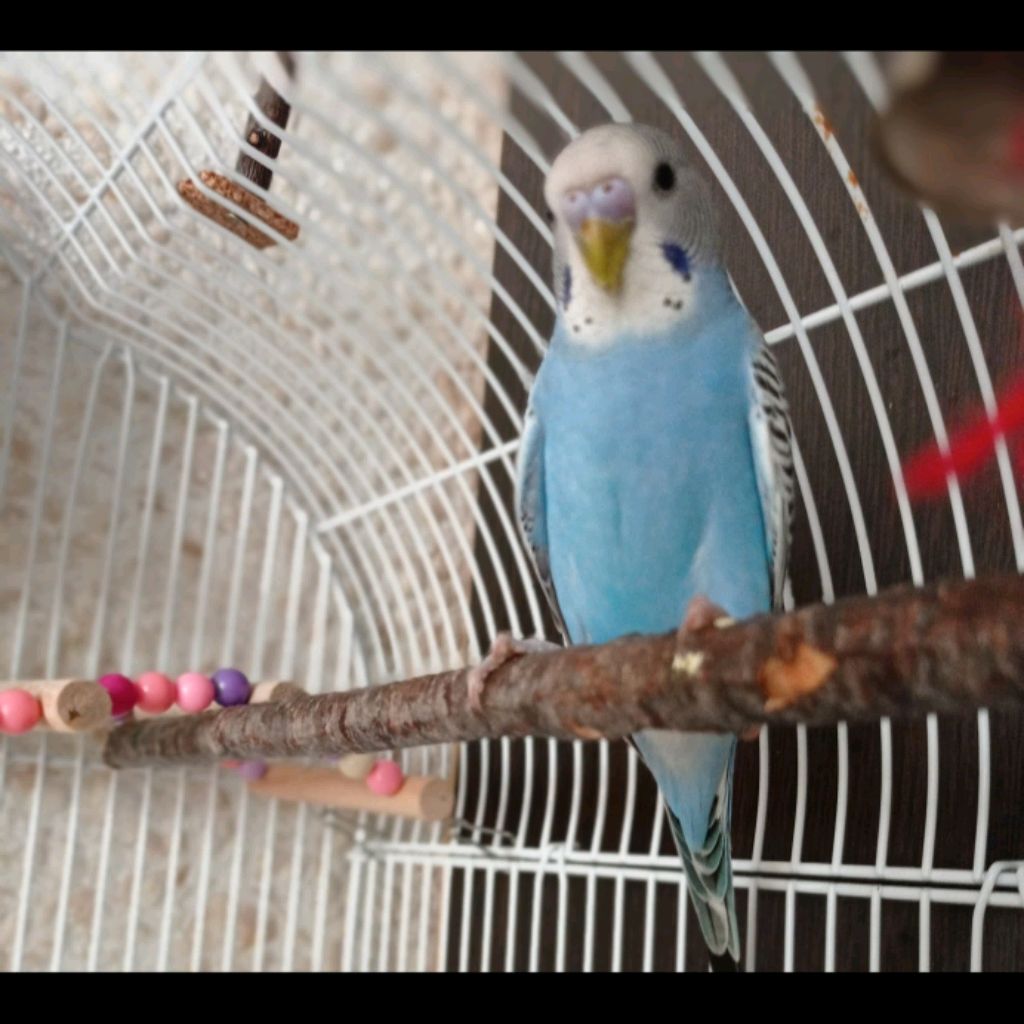 Иконка канала irinakrat