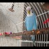 Иконка канала irinakrat