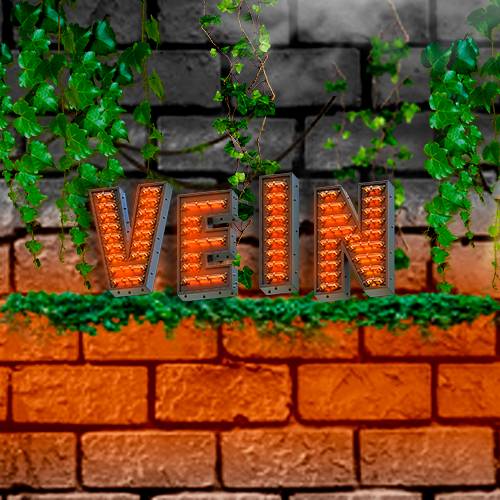 Иконка канала VeIN