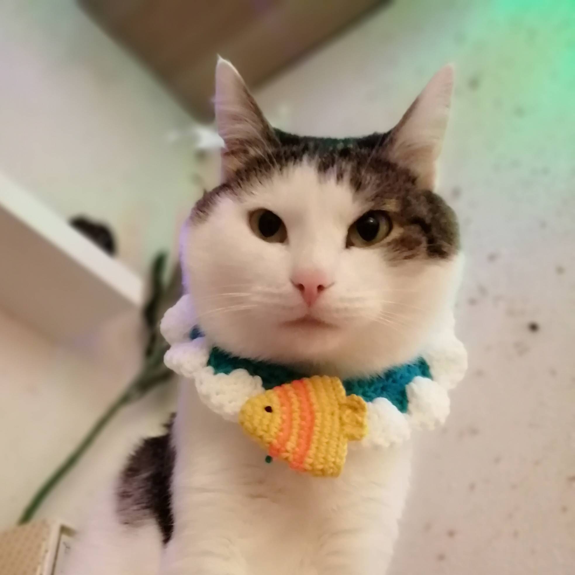 Иконка канала Бивис и клубочки шерсти