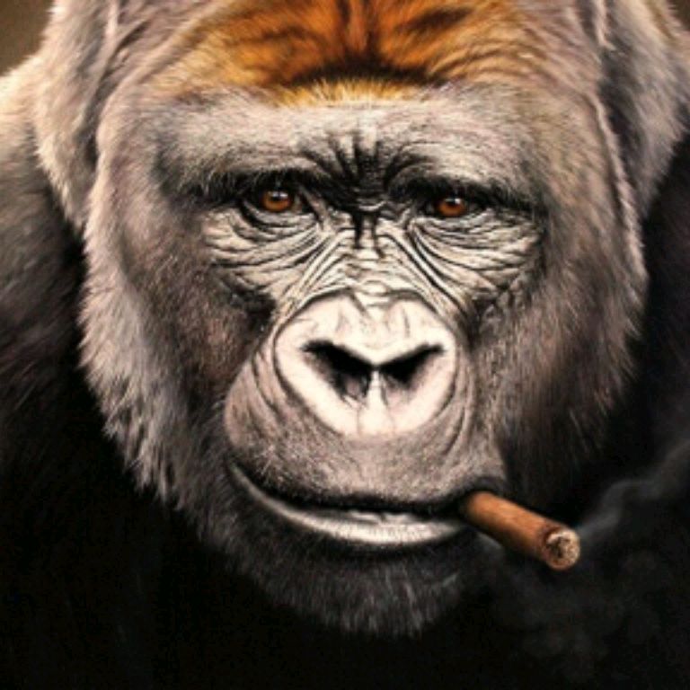 Иконка канала ВРЕМЯ ДОСУГА