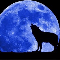 Иконка канала Приколы FUNNY MOON