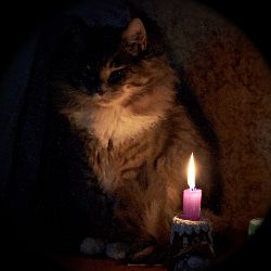 Иконка канала Priest_kod