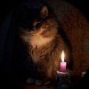 Иконка канала Priest_kod