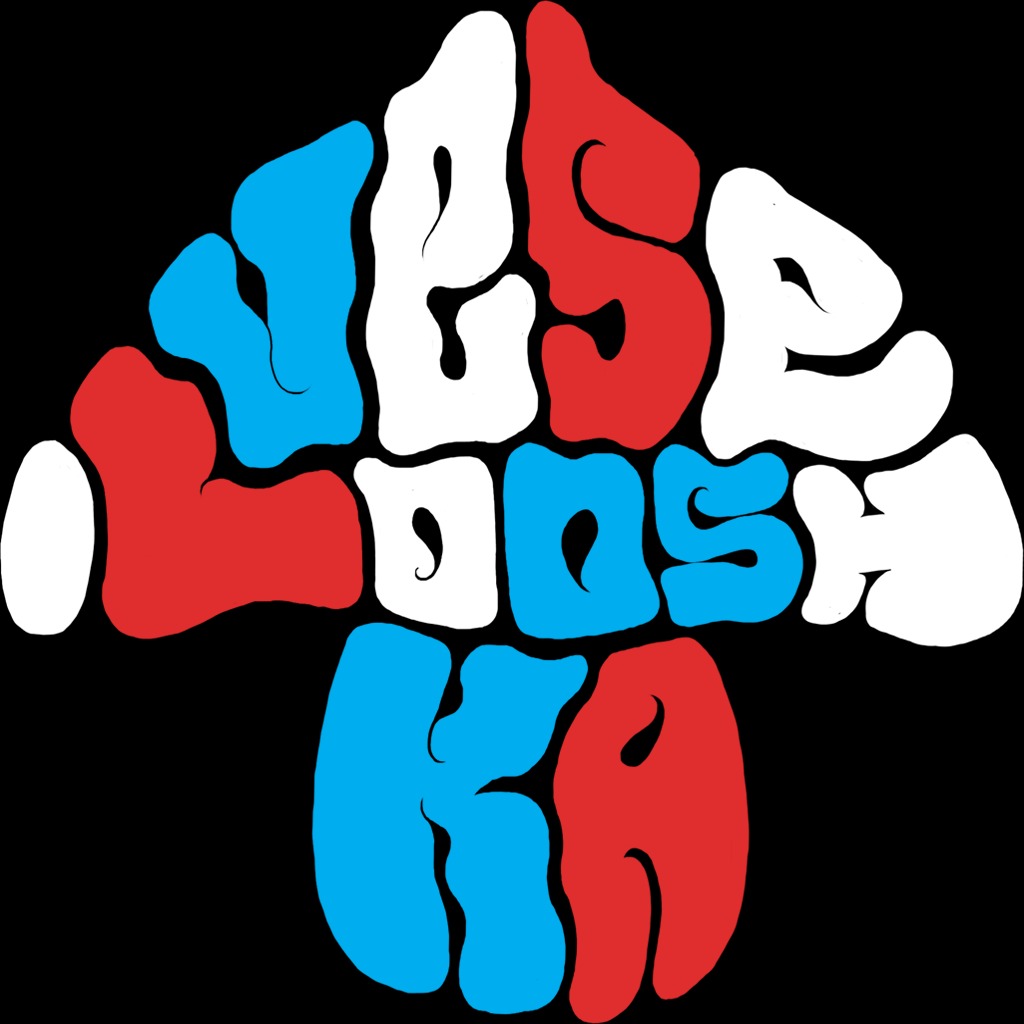 Иконка канала Veselooshka