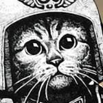 Иконка канала DuneCat