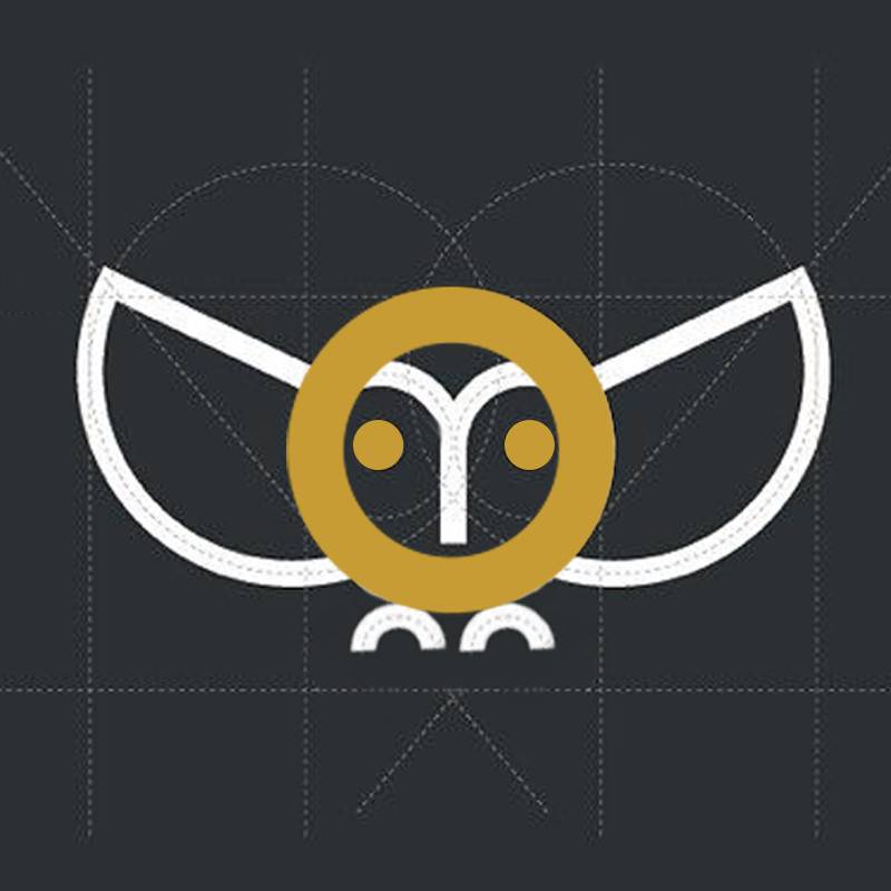 Иконка канала Owl Coding