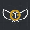 Иконка канала Owl Coding