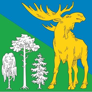 Иконка канала Администрация МО Лосиноостровский