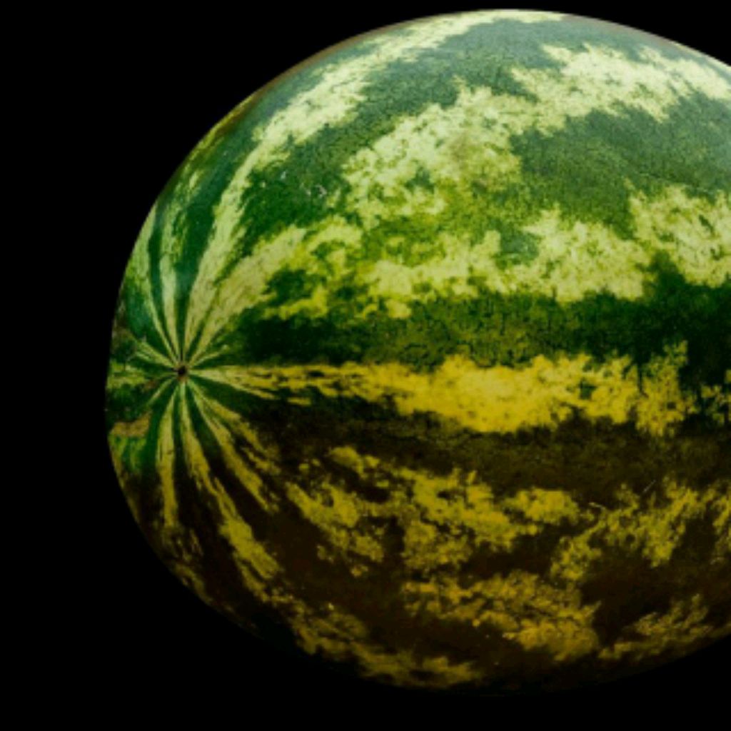 Иконка канала Zesllok!!!