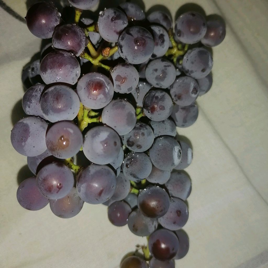 Иконка канала channel30166030