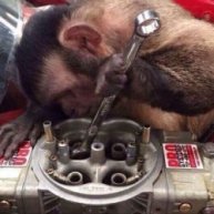 Иконка канала Доктор Дизель