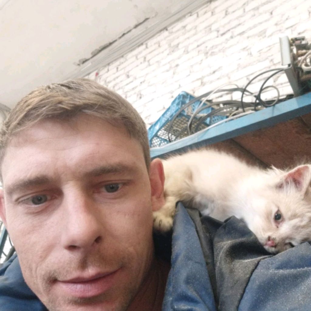 Иконка канала Строю Сам