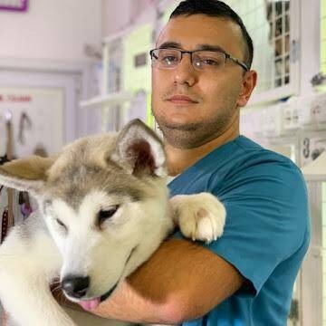 Иконка канала VetVlog