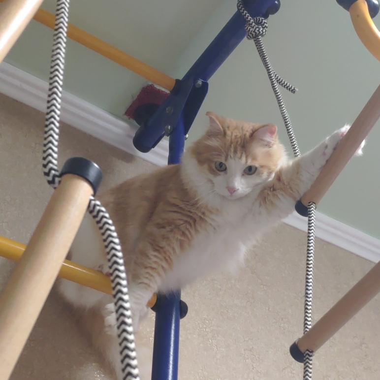 Иконка канала Игры с РаТаТуЕм 🌙