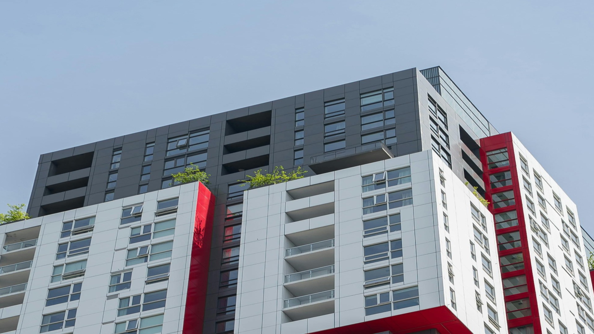 Иконка канала brigadecitrine