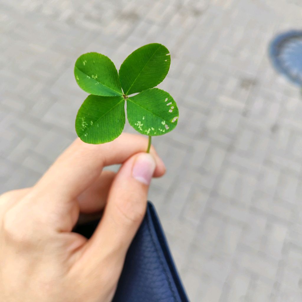 Иконка канала Социальное дно