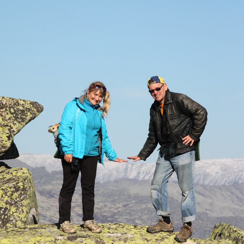 Иконка канала Бродячие лапки