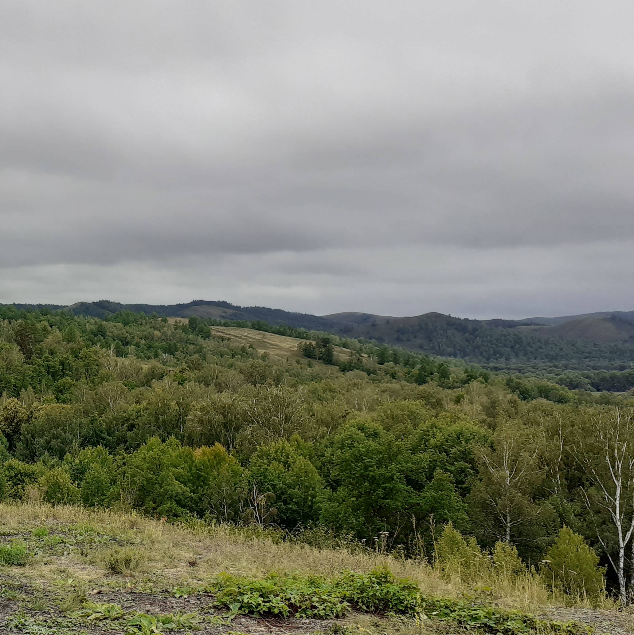 Иконка канала Интересное рядом