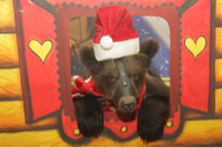 Иконка канала Андрей