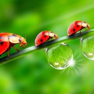 Иконка канала ZalipaykaPro