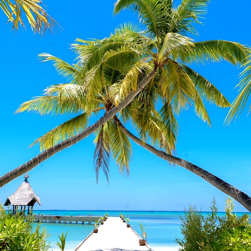 Иконка канала Музыка и Красота