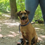 Иконка канала Kati_Lena_Kursk