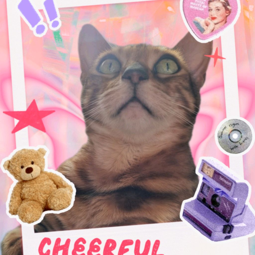 Иконка канала 🎀Домашний леопард Няня🎀