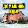 Иконка канала Домашний Улей