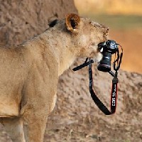 Иконка канала БеМас