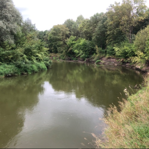 Иконка канала EvgeniyForest