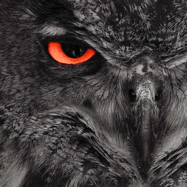 Иконка канала PtaXaZAN