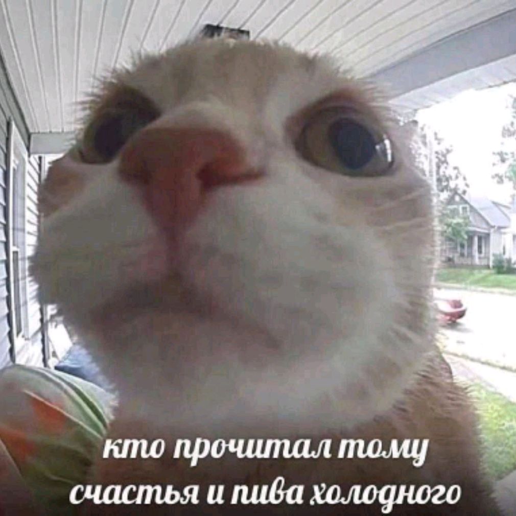 Иконка канала Видео из ютуба