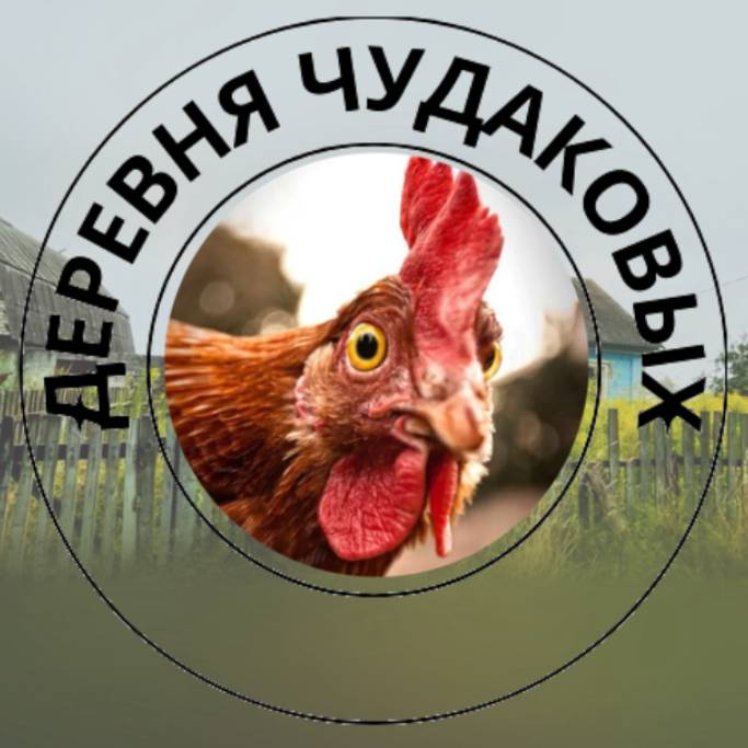 Иконка канала Derevnya Chudakovyh