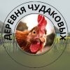 Иконка канала Derevnya Chudakovyh