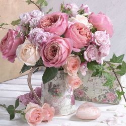 Иконка канала БИОЛОГ