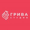 Иконка канала Грива Студия